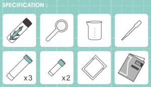 After School – DIY Diaphonized Specimen Kits | Mr.sci science factory